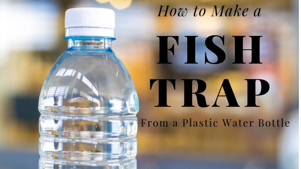 How To Make A Fish Trap (IT'S EASY!) | Making An Effective Fish Trap!