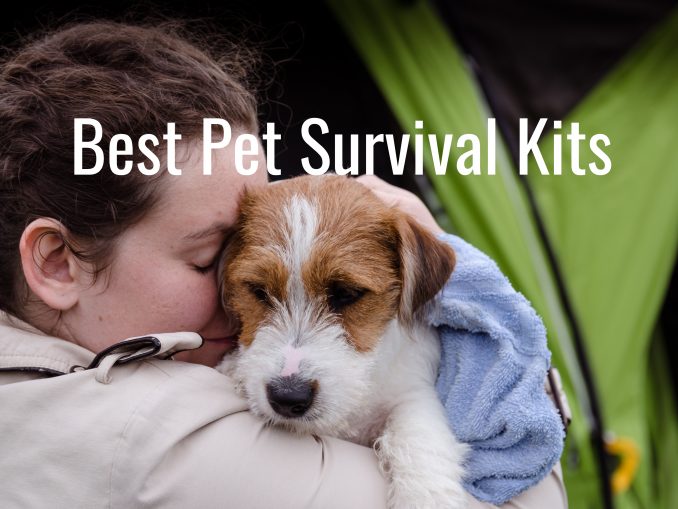 The Ultimate Guide To Raising Goats | Goat Raising for Homesteaders