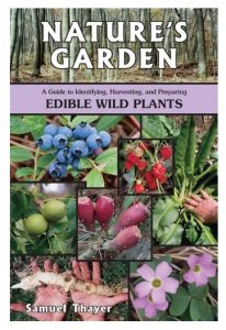 10 Wild Edible Plants For Survival | Wild Edible Plant Reviews